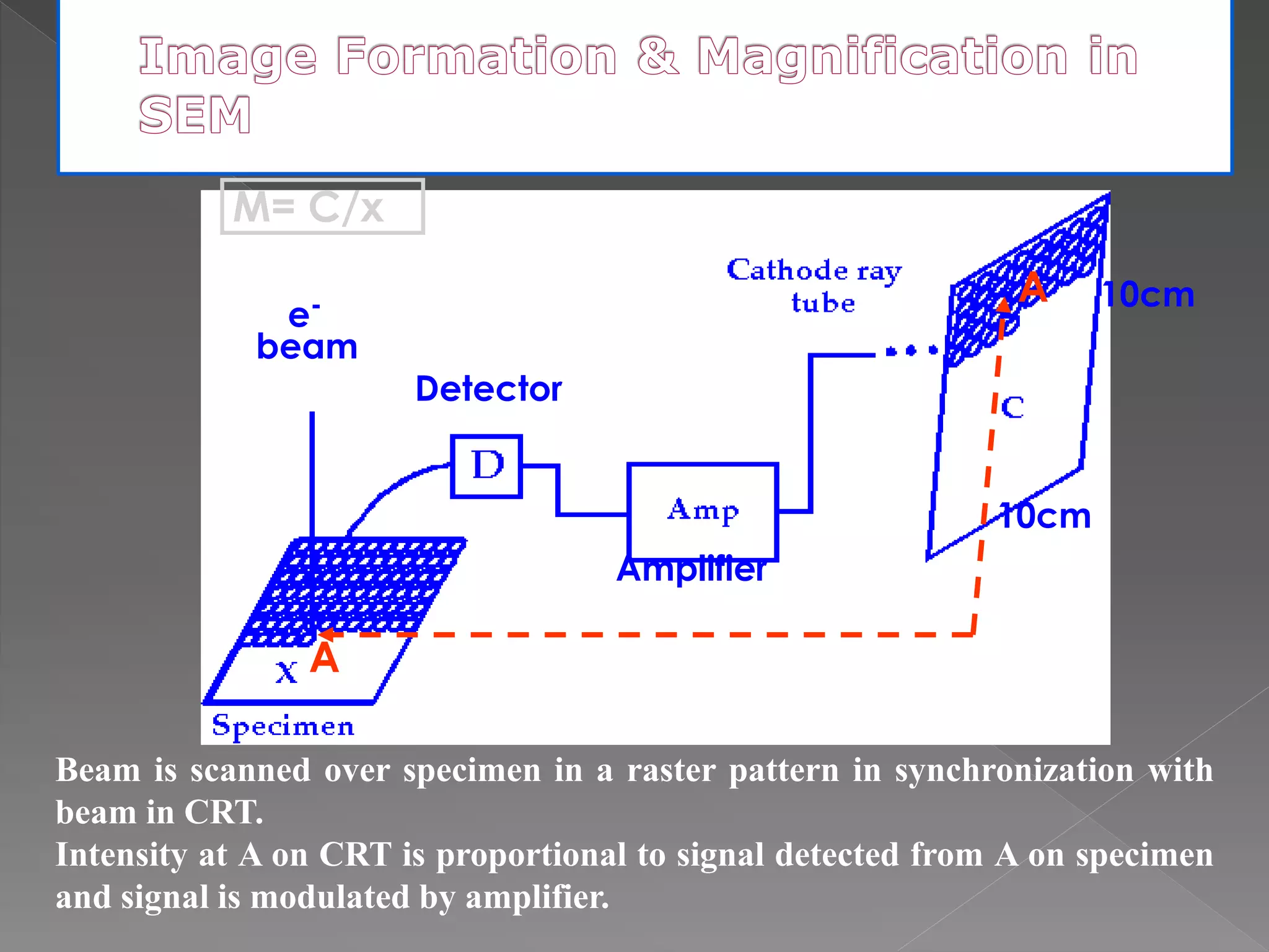 Scanning Electron Microscopy | PPT