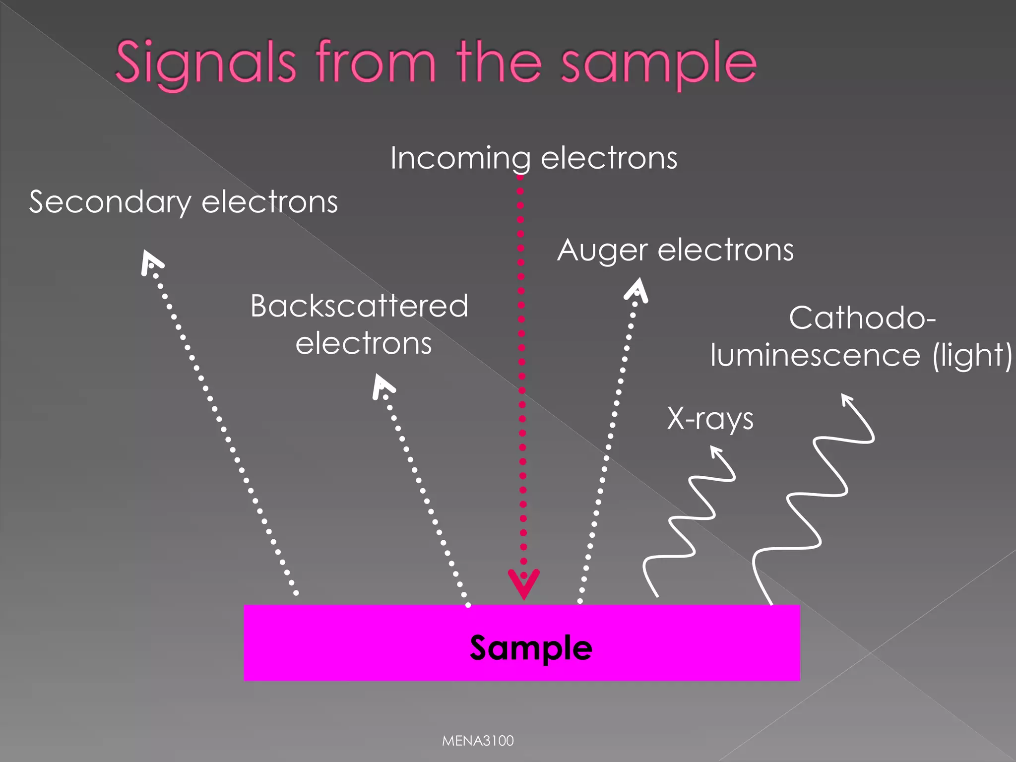 Scanning Electron Microscopy | PPT