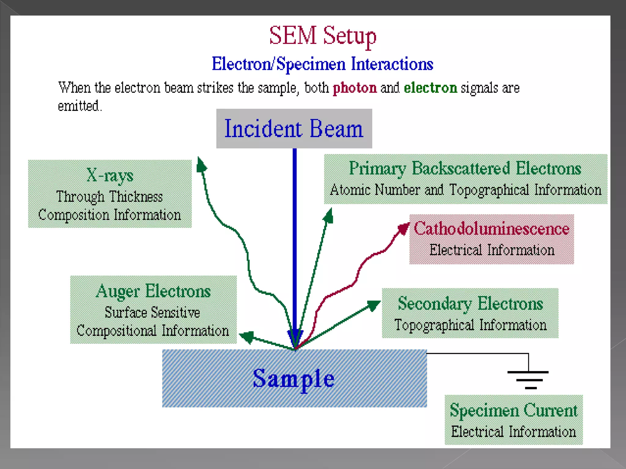 Scanning Electron Microscopy | PPT