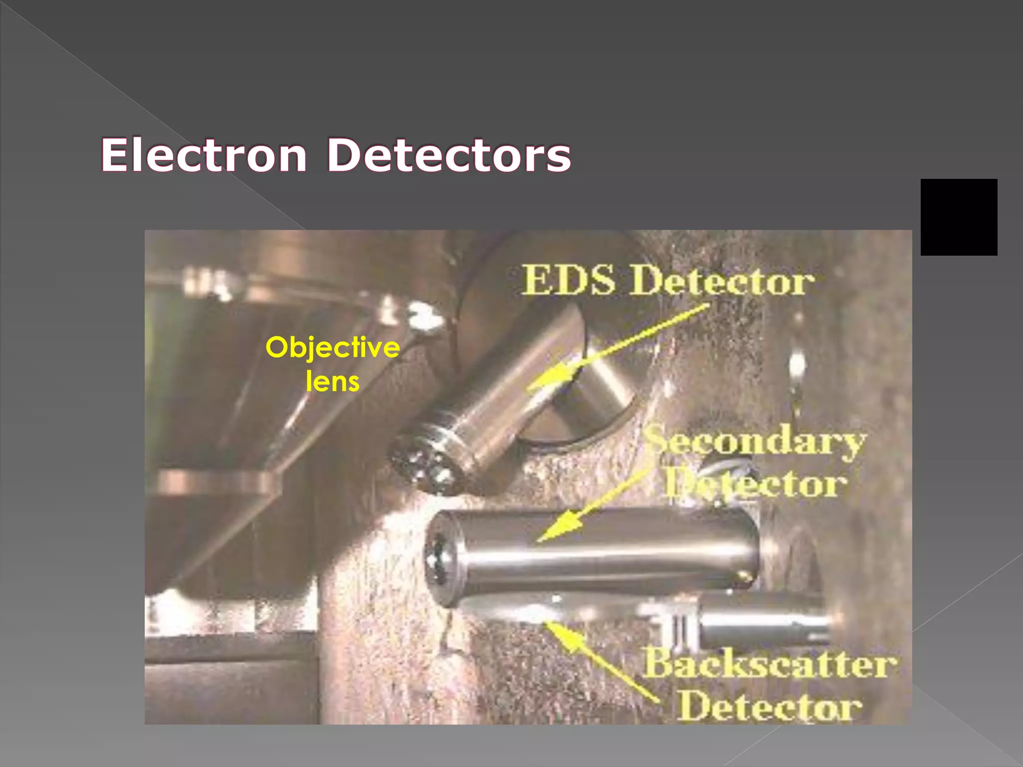 Scanning Electron Microscopy | PPT