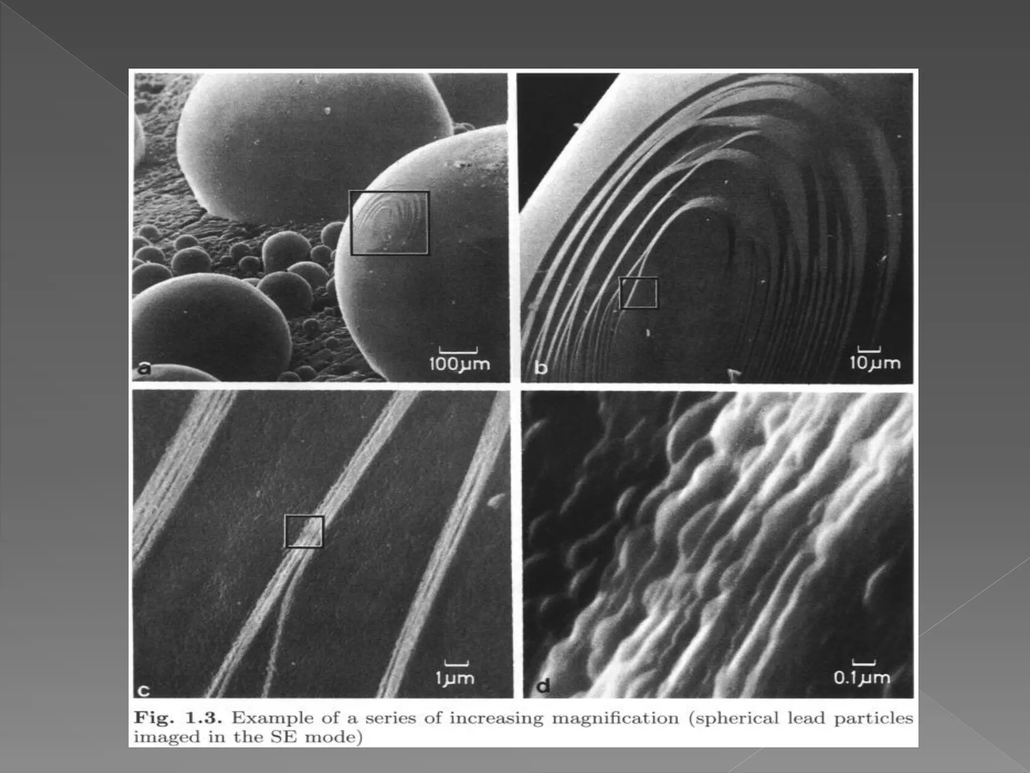 Scanning Electron Microscopy | PDF