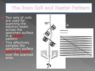 Scanning Electron Microscopy | PDF