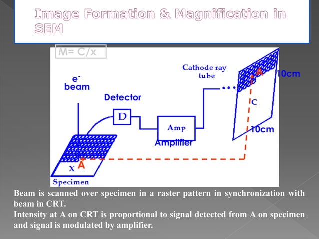 Scanning Electron Microscopy | PPT