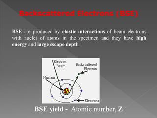 Scanning Electron Microscopy | PDF