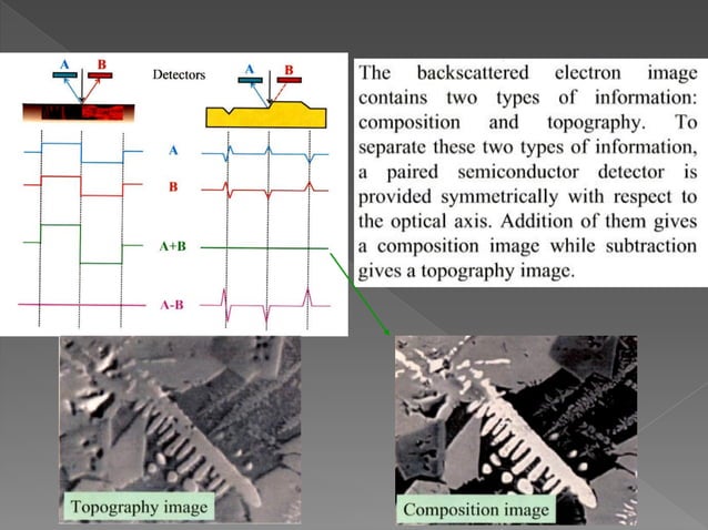 Scanning Electron Microscopy | PPT