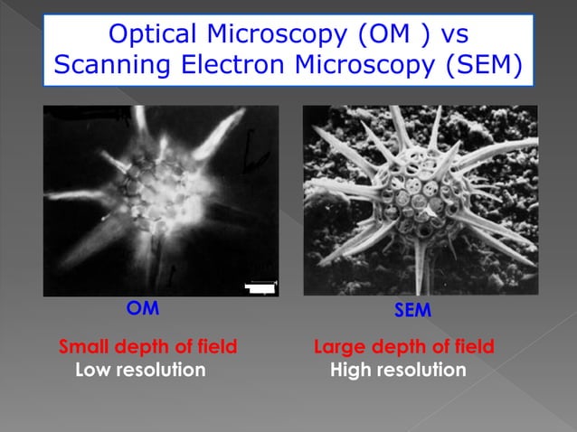 Scanning Electron Microscopy | PPT