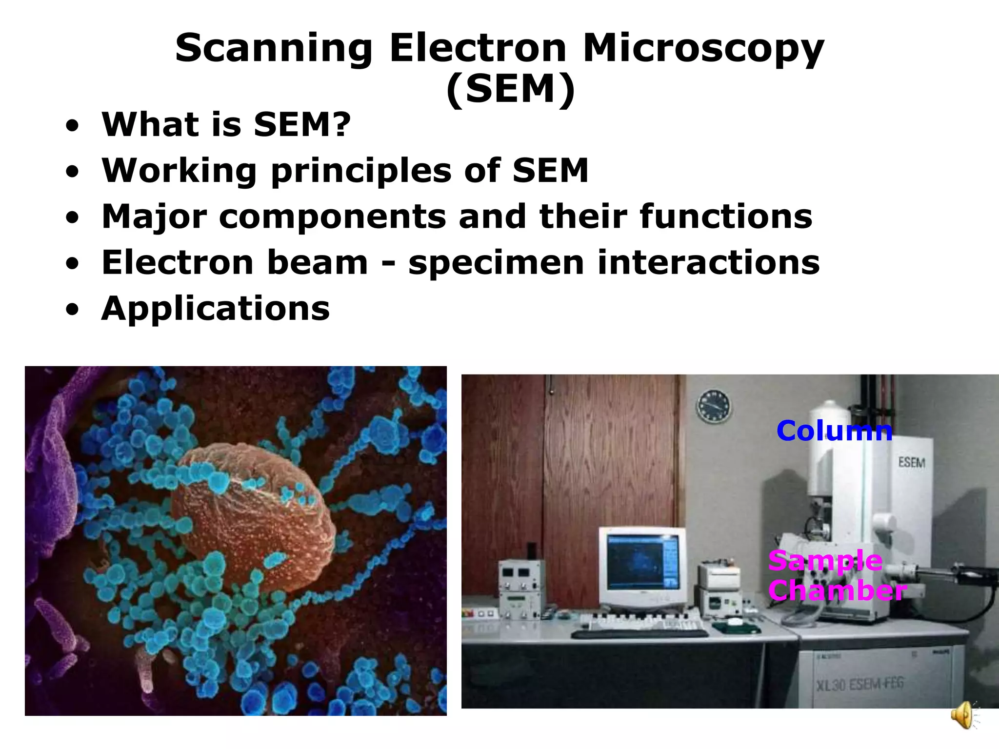 Scanning Electron Microscopy | PPTX