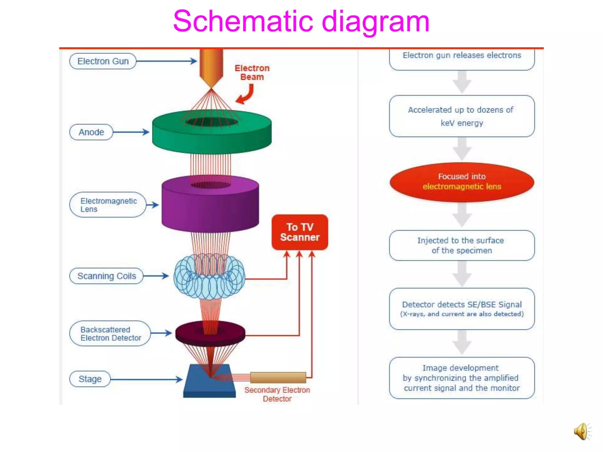Scanning Electron Microscopy | PPTX