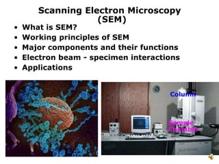 Scanning Electron Microscopy | PPTX
