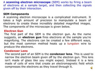 Scanning Electron Microscopy | PPTX