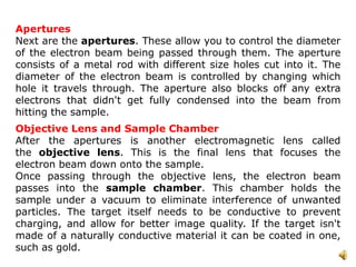 Scanning Electron Microscopy | PPTX
