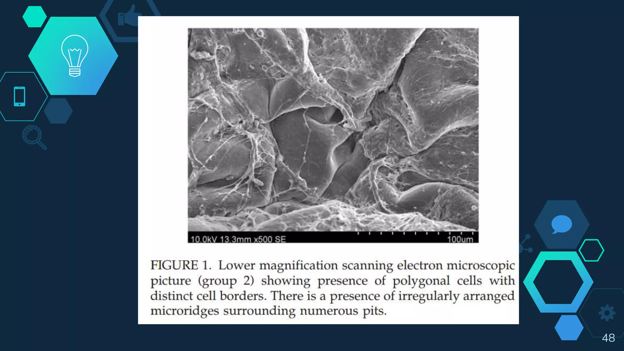 scanning electron microscope | PPTX