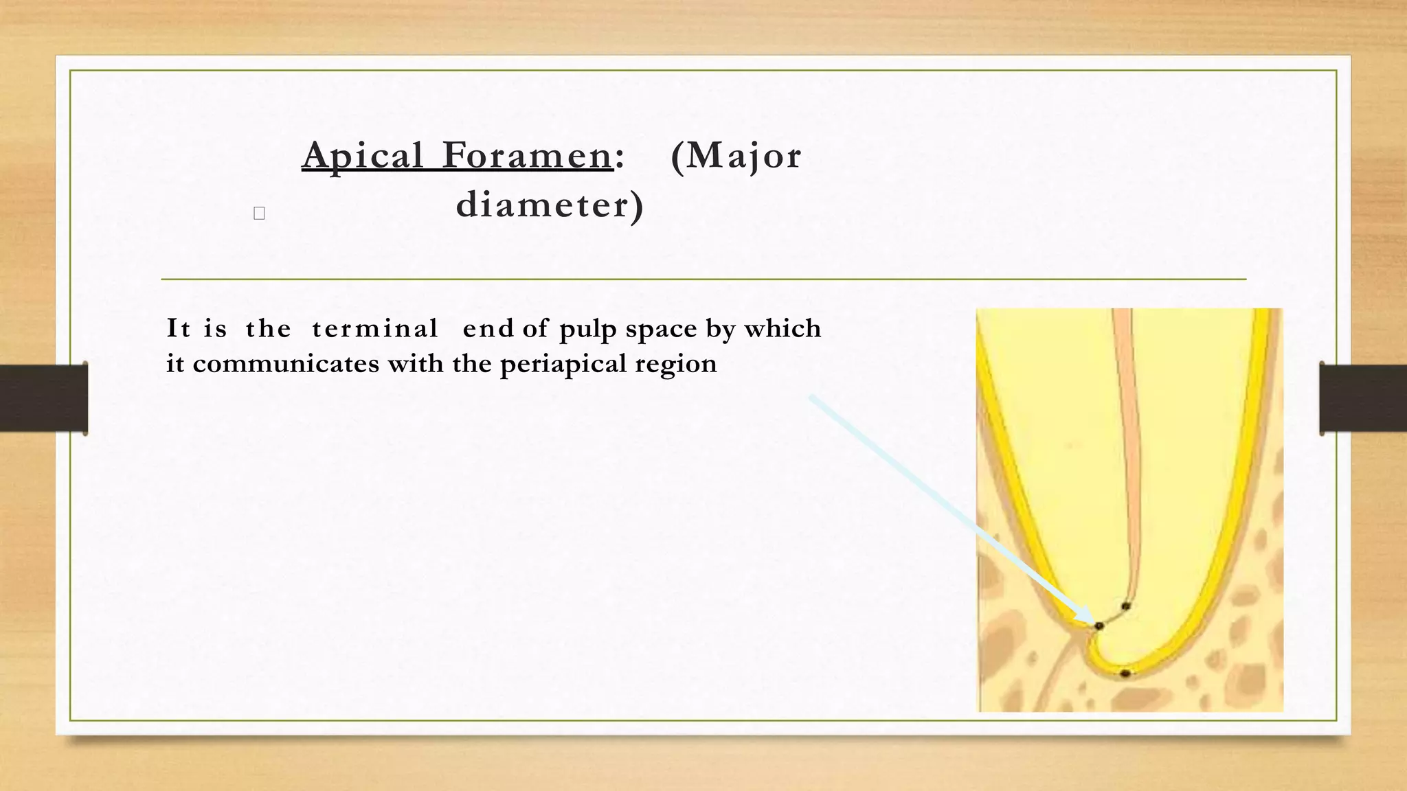 ANATOMY OF TOOTH CONSIDERATIONS | PPTX