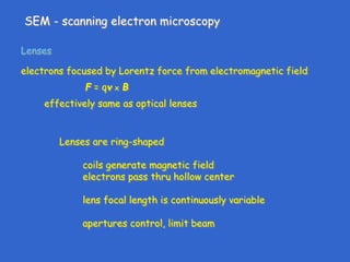 Scanning electron microscopy | PPT