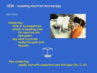 Scanning electron microscopy | PPT