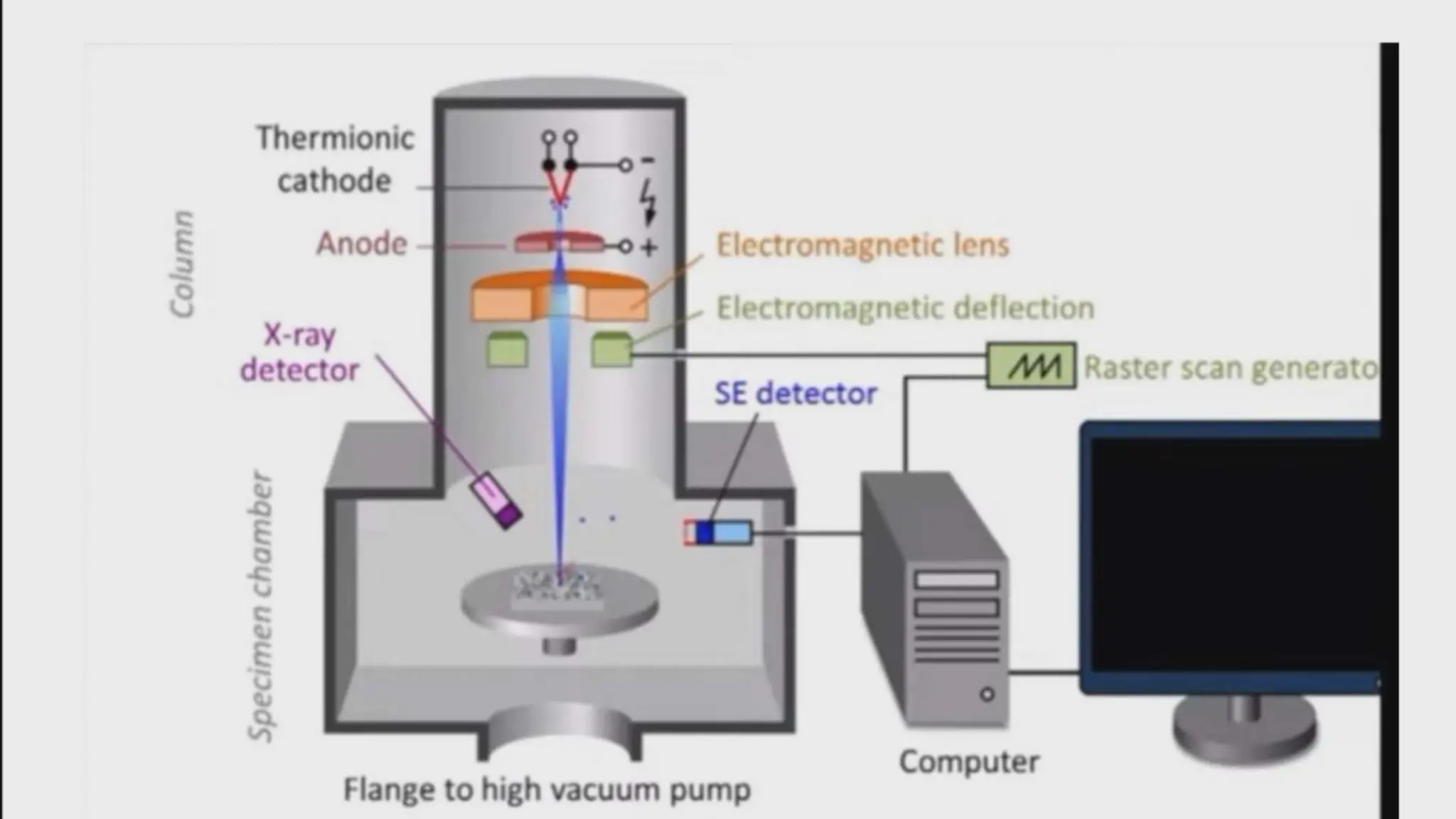 Scanning Electron Microscopy | PPTX