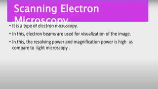 Scanning Electron Microscopy | PPTX