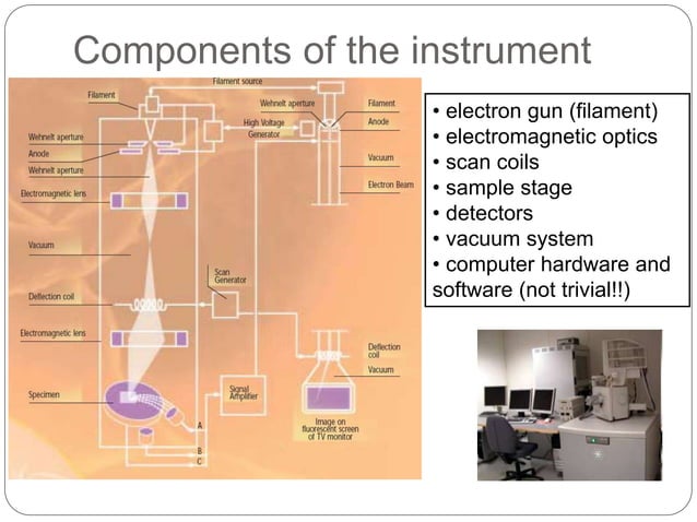overview on scanning electron microscope | PPT