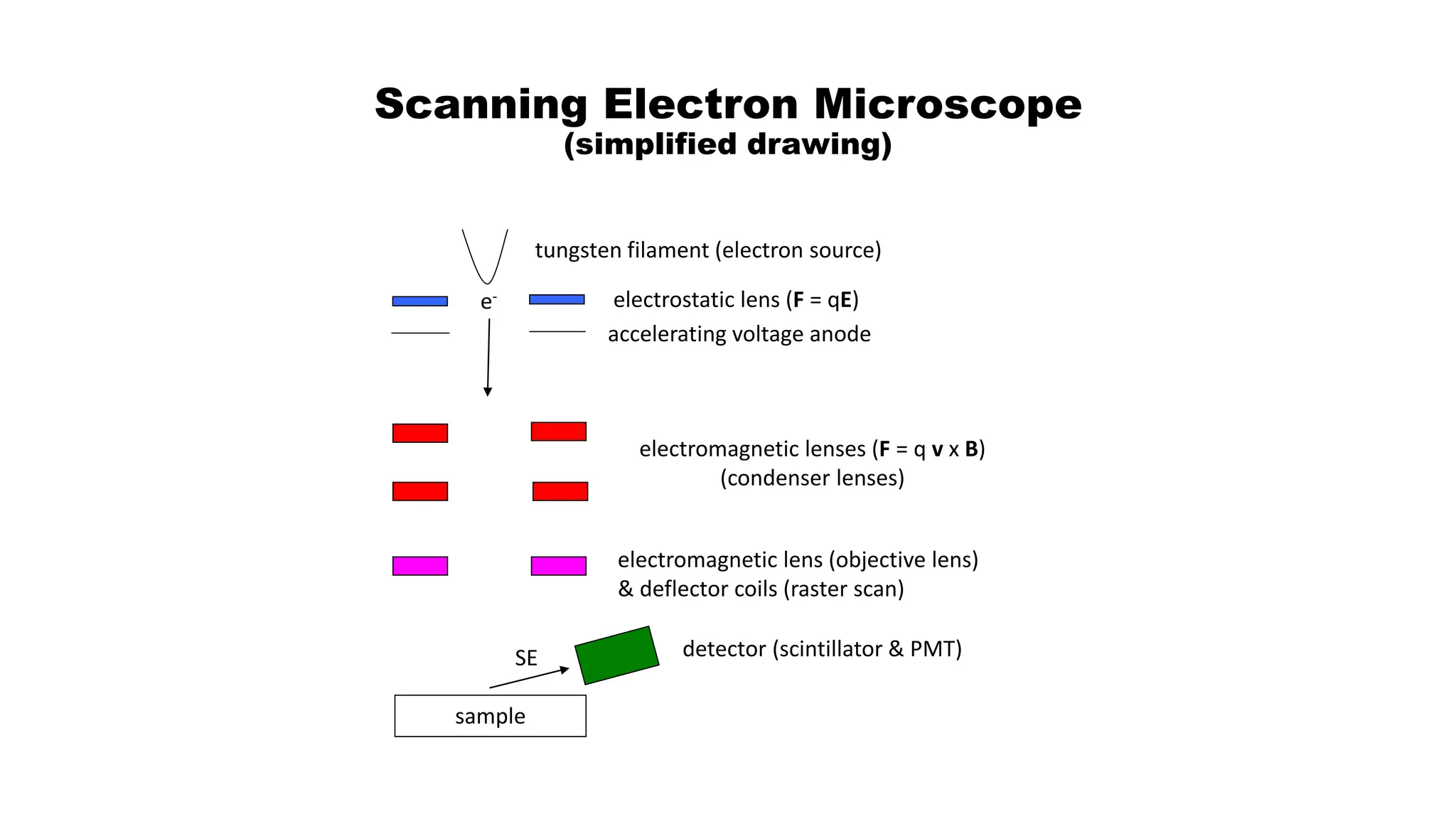 Scanning Electron Microscope-Introduction | PPT