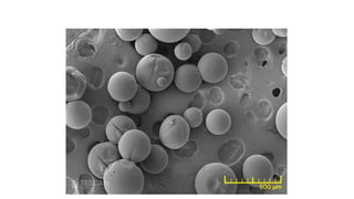 Scanning Electron Microscope-Introduction | PPT