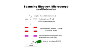 Scanning Electron Microscope-Introduction | PPT
