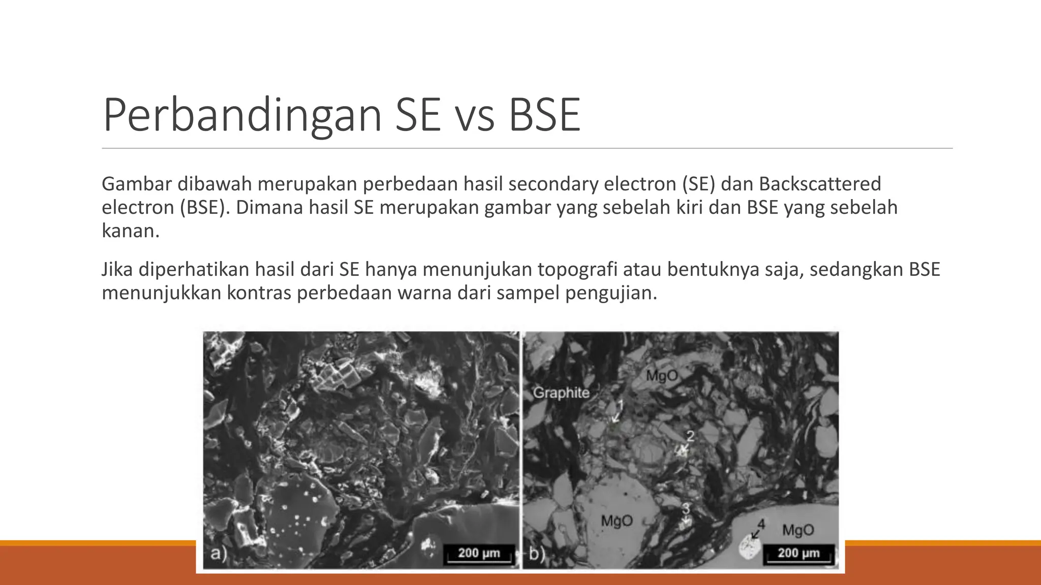 Materi tentang electron microscope basic | PPT
