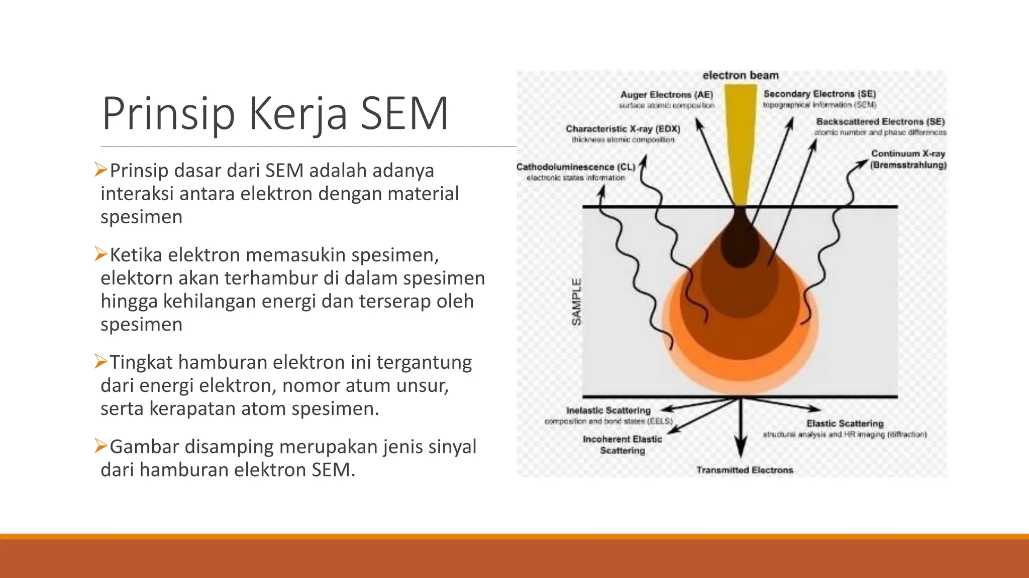 Materi tentang electron microscope basic | PPT