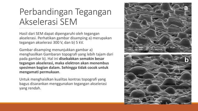 Materi tentang electron microscope basic | PPT