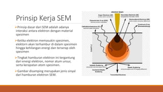 Materi tentang electron microscope basic | PPT