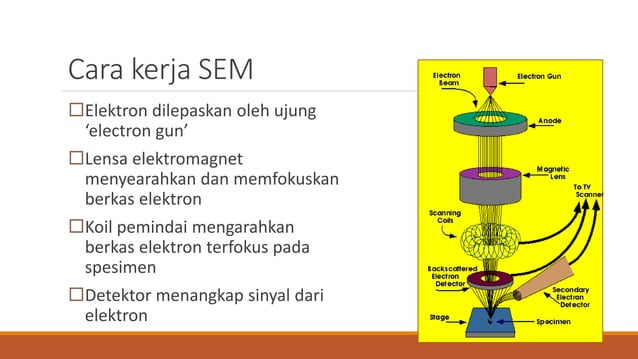 Materi tentang electron microscope basic | PPT