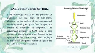 Scanning electron microscopy (SEM) .pptx