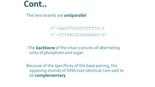 Comprehensive Introduction to Genetics: Nucleic Acids, DNA, and RNA ...