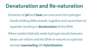 Comprehensive Introduction to Genetics: Nucleic Acids, DNA, and RNA ...