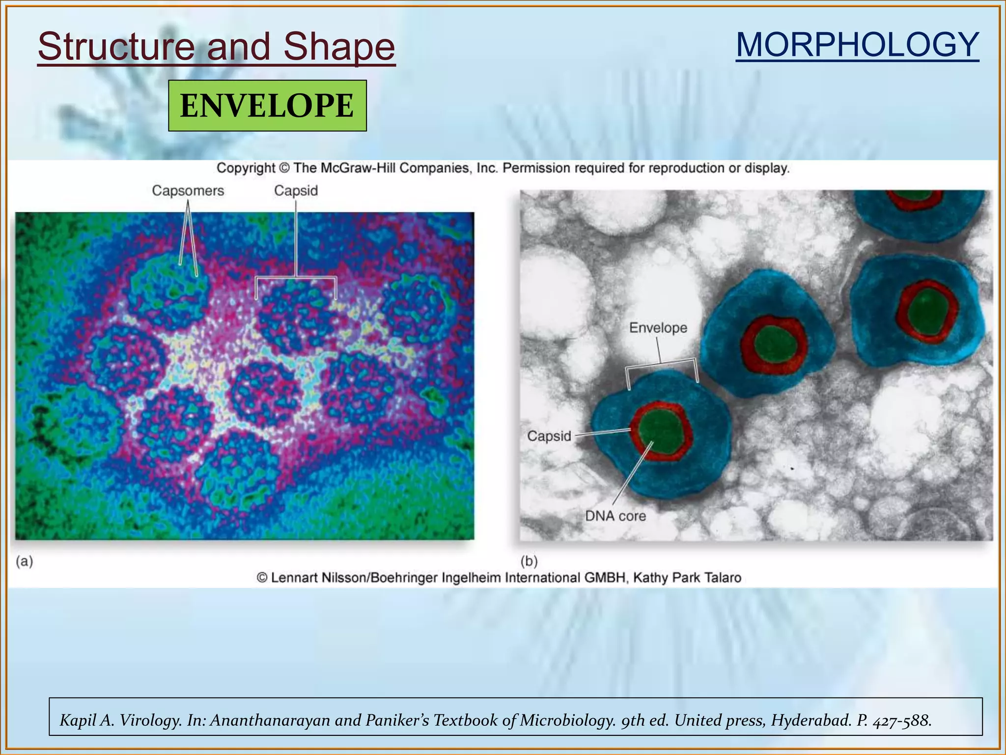 Herpes Simplex viral Infection - Dr Sanjana Ravindra | PDF