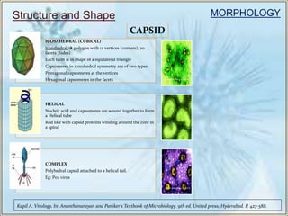 Herpes Simplex viral Infection - Dr Sanjana Ravindra | PDF