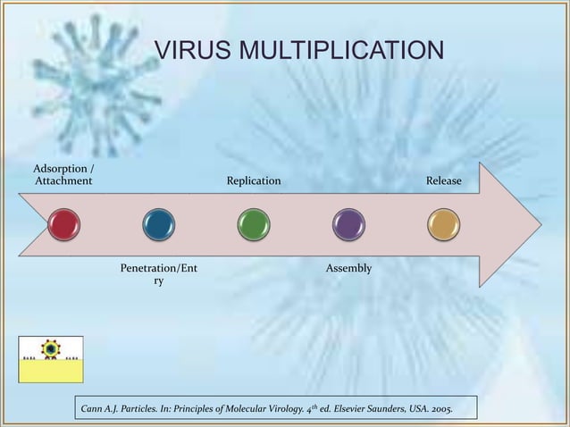 Herpes Simplex viral Infection - Dr Sanjana Ravindra | PPT