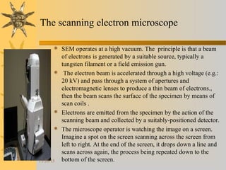 Scanning Electron Microscope- Energy - Dispersive X -Ray Microanalysis ...