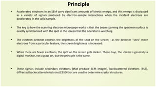 SEM- scanning electron microscope | PPT