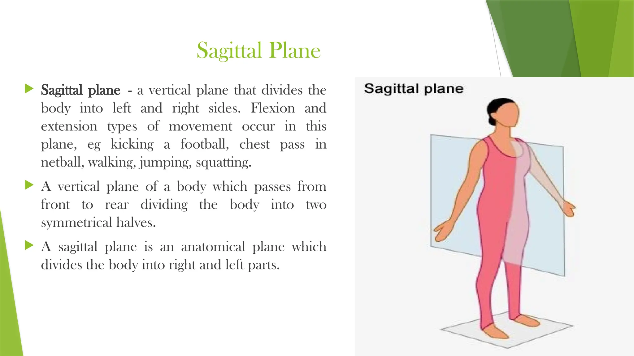 Sem-III_1598499071_Axis and Plane.pptx for MPed students | PPT
