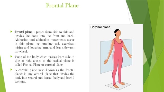 Sem-III_1598499071_Axis and Plane.pptx for MPed students | PPTX