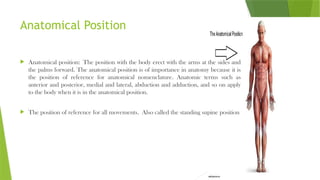 Sem-III_1598499071_Axis and Plane.pptx for MPed students | PPTX
