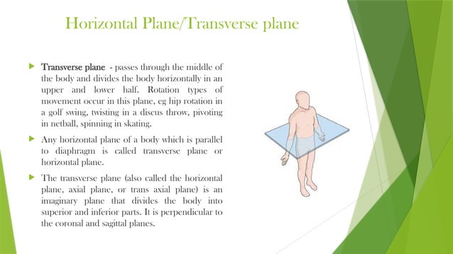 Sem-III_1598499071_Axis and Plane.pptx for MPed students | PPTX