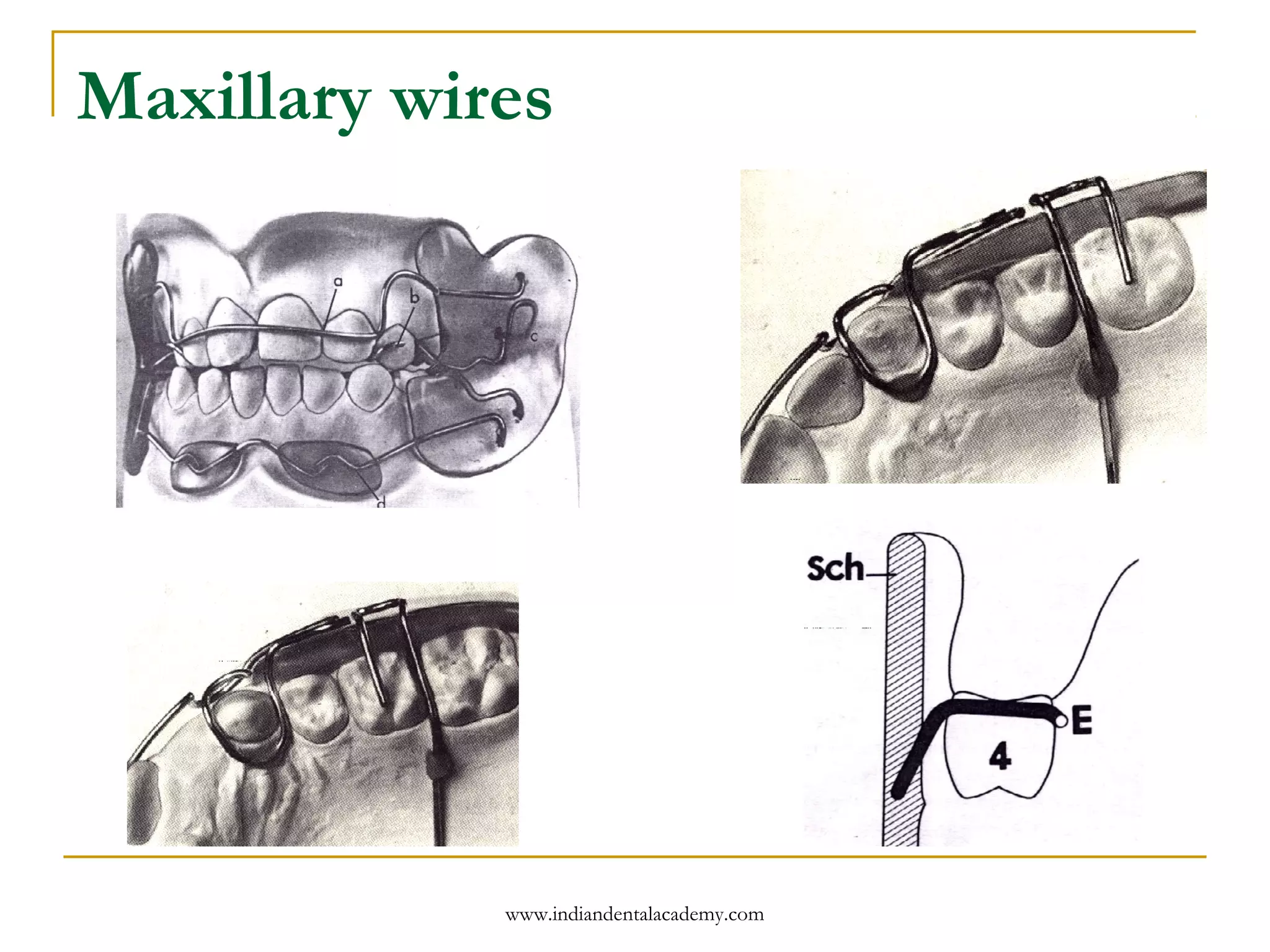 FRANKEL FUNCTION REGULATOR | PPT