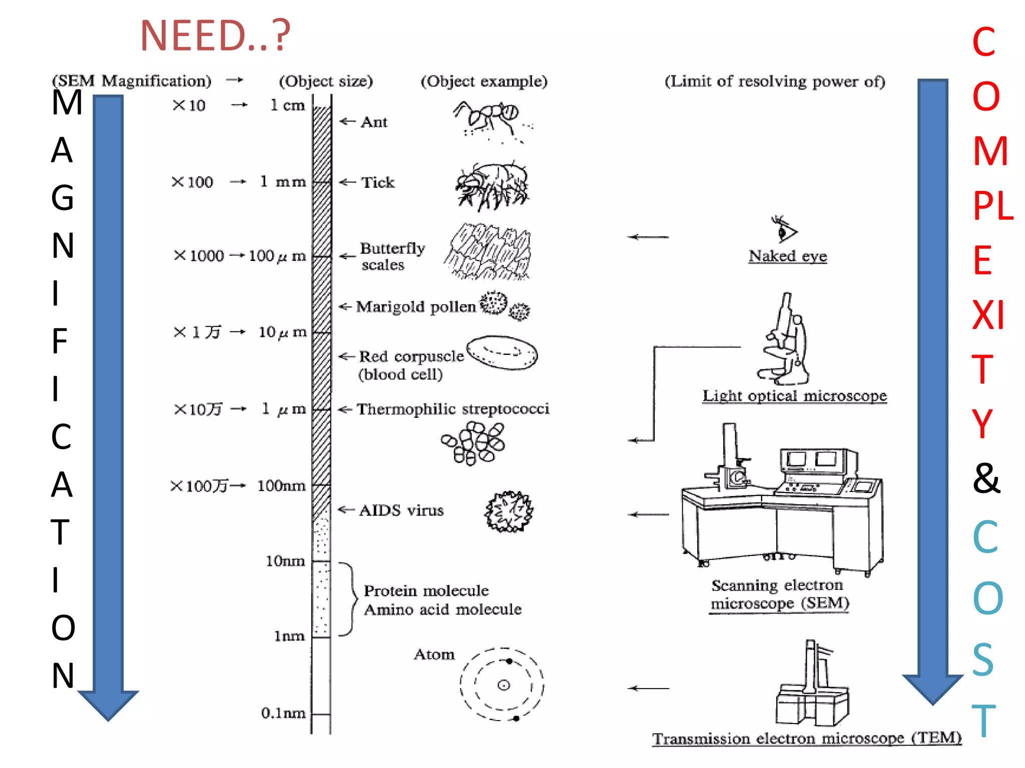 Scanning Electron Microscopy Sem Lecture Pptx Chemistry Science
