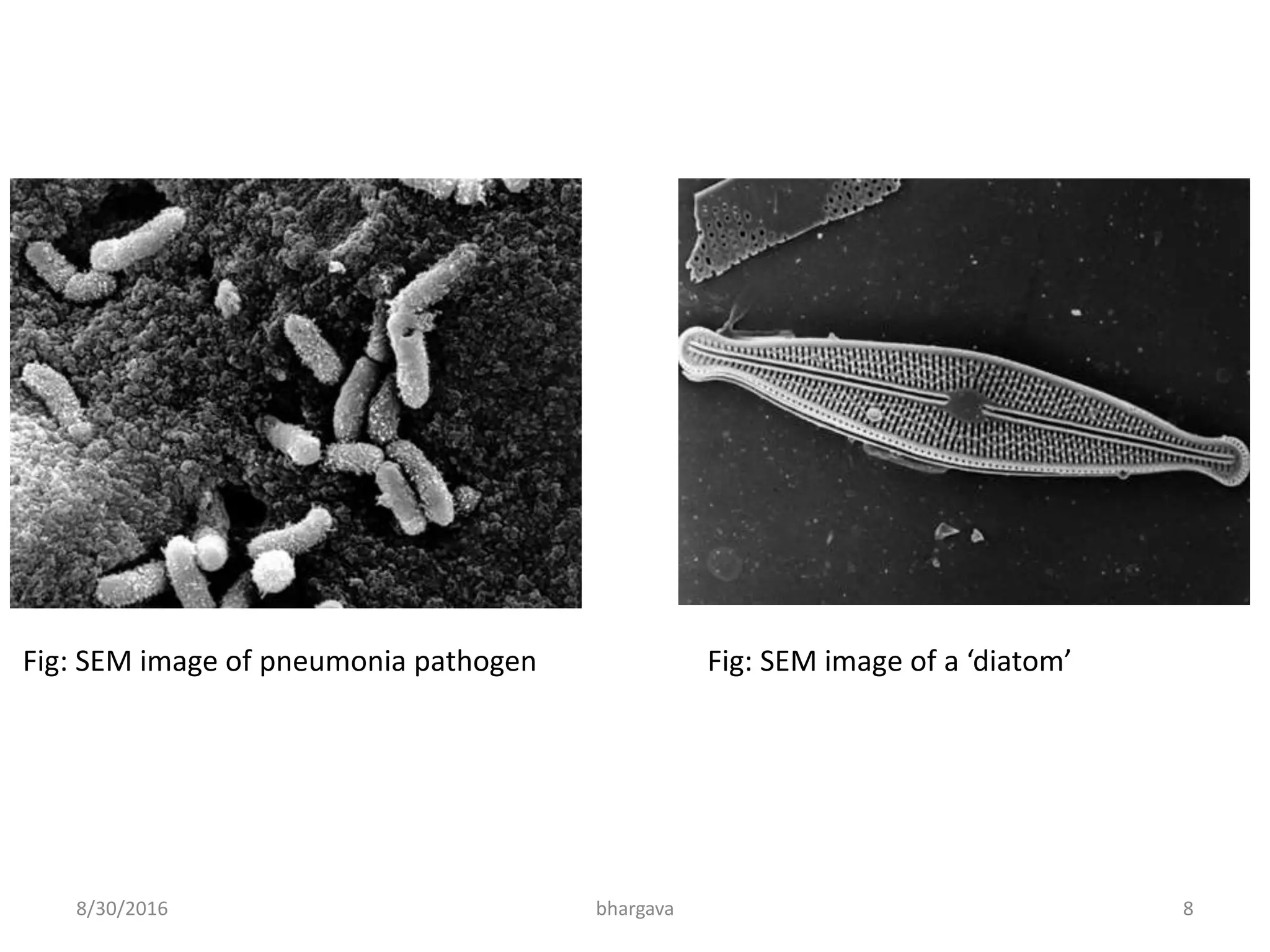 Scanning Electron Microscopy Sem Lecture Pptx Chemistry Science