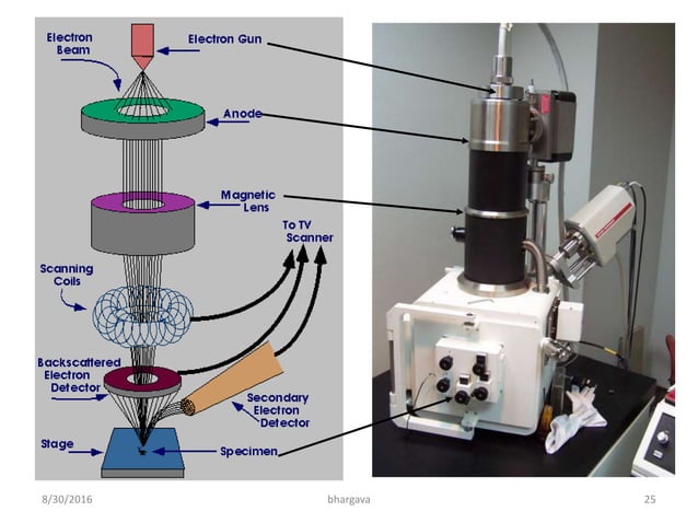Scanning Electron Microscopy Sem Lecture Pptx Chemistry Science
