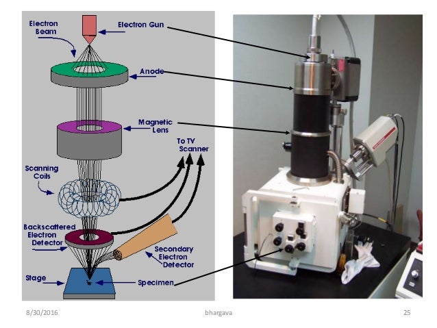Scanning Electron Microscopy Sem Lecture