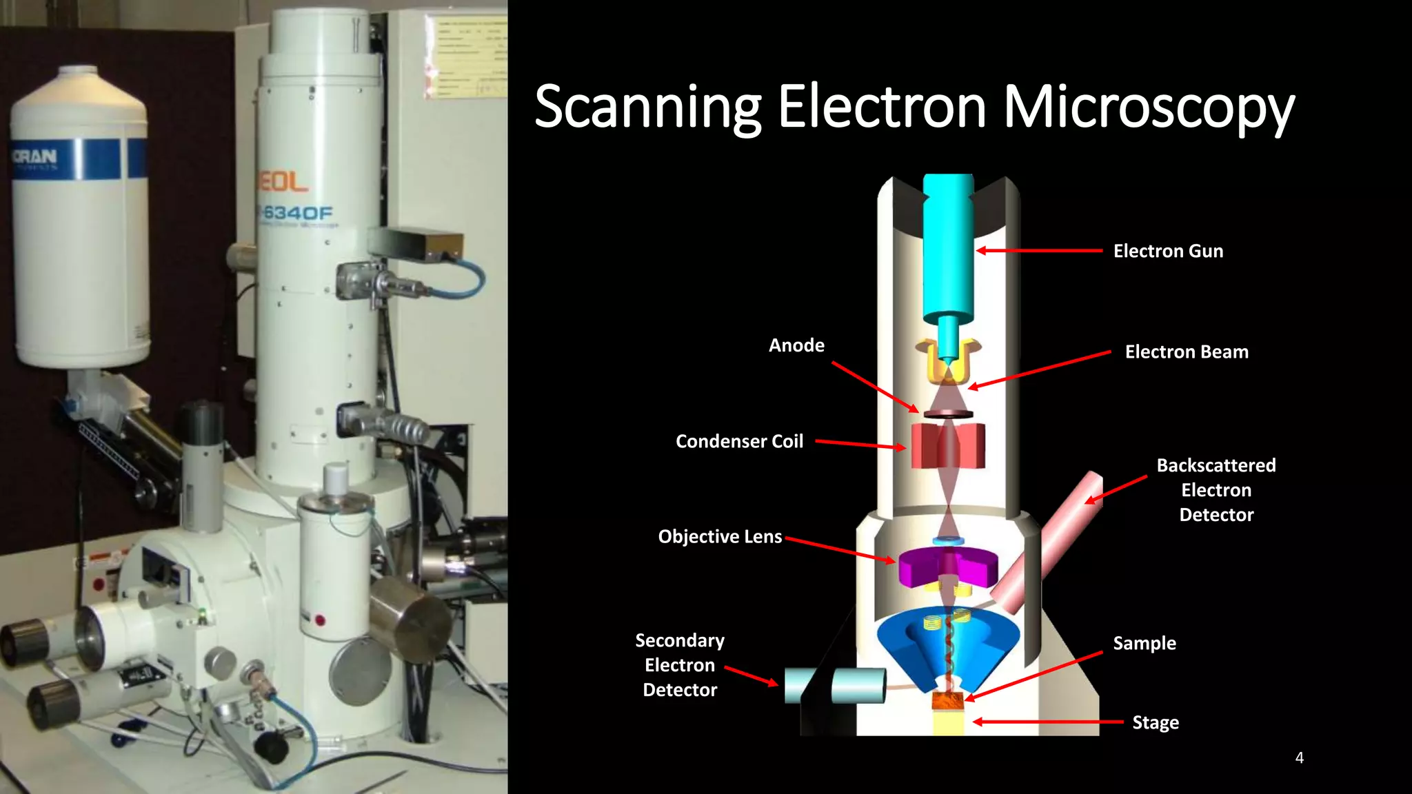 SCANNING ELECTRON MICROSCOPY (SEM) | PPTX