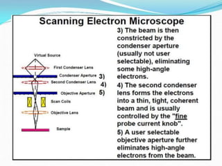 Sem Tem (nanotechnology) | PPT