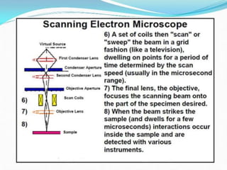 Sem Tem (nanotechnology) | PPT